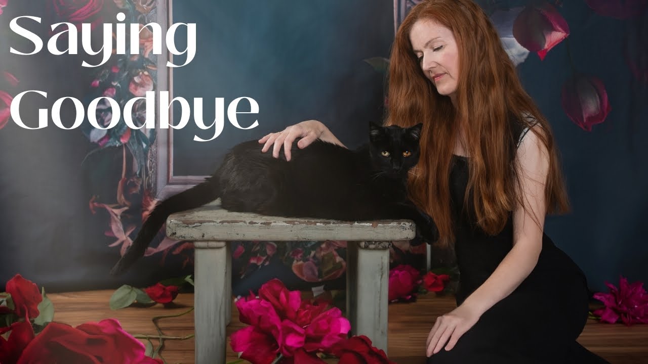 Coping with the Grief and Loss of my Cat - YouTube