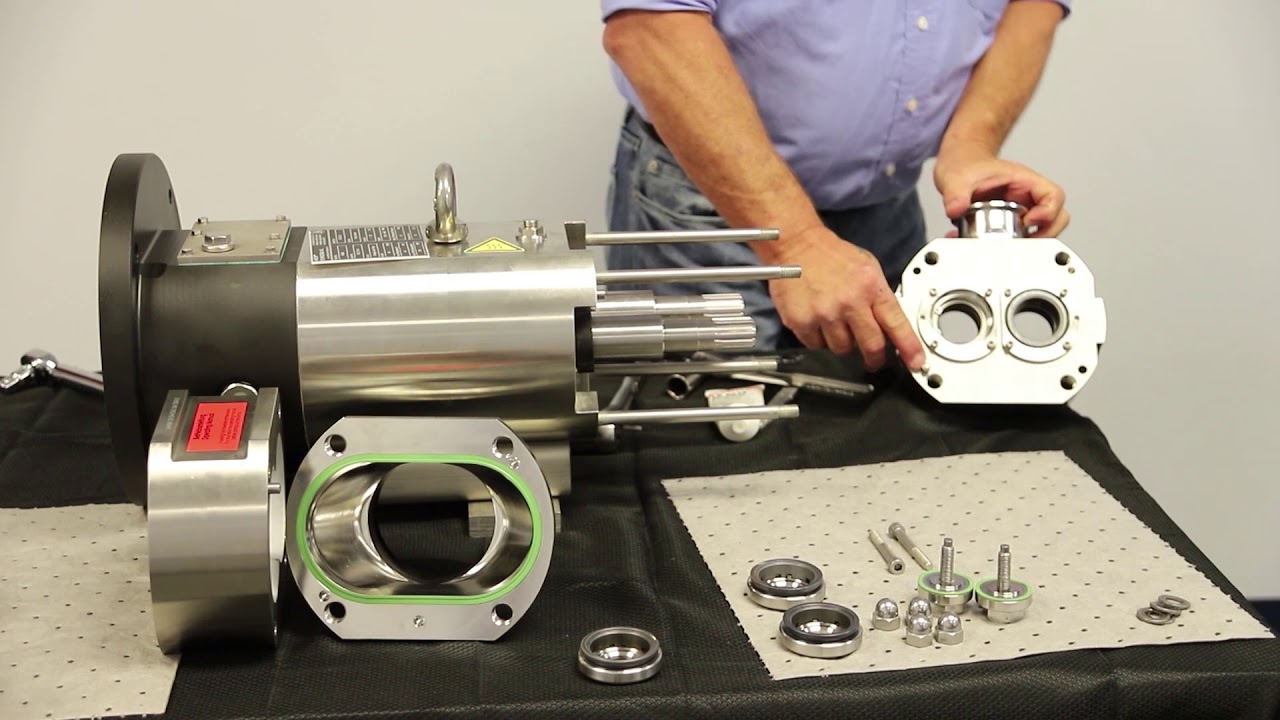 Twin Screw Pump Animation