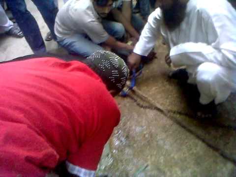 cow zibah 2012 hd - YouTube