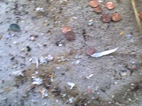 HOARDER'S HOME COMPLETE WITH MICE - YouTube