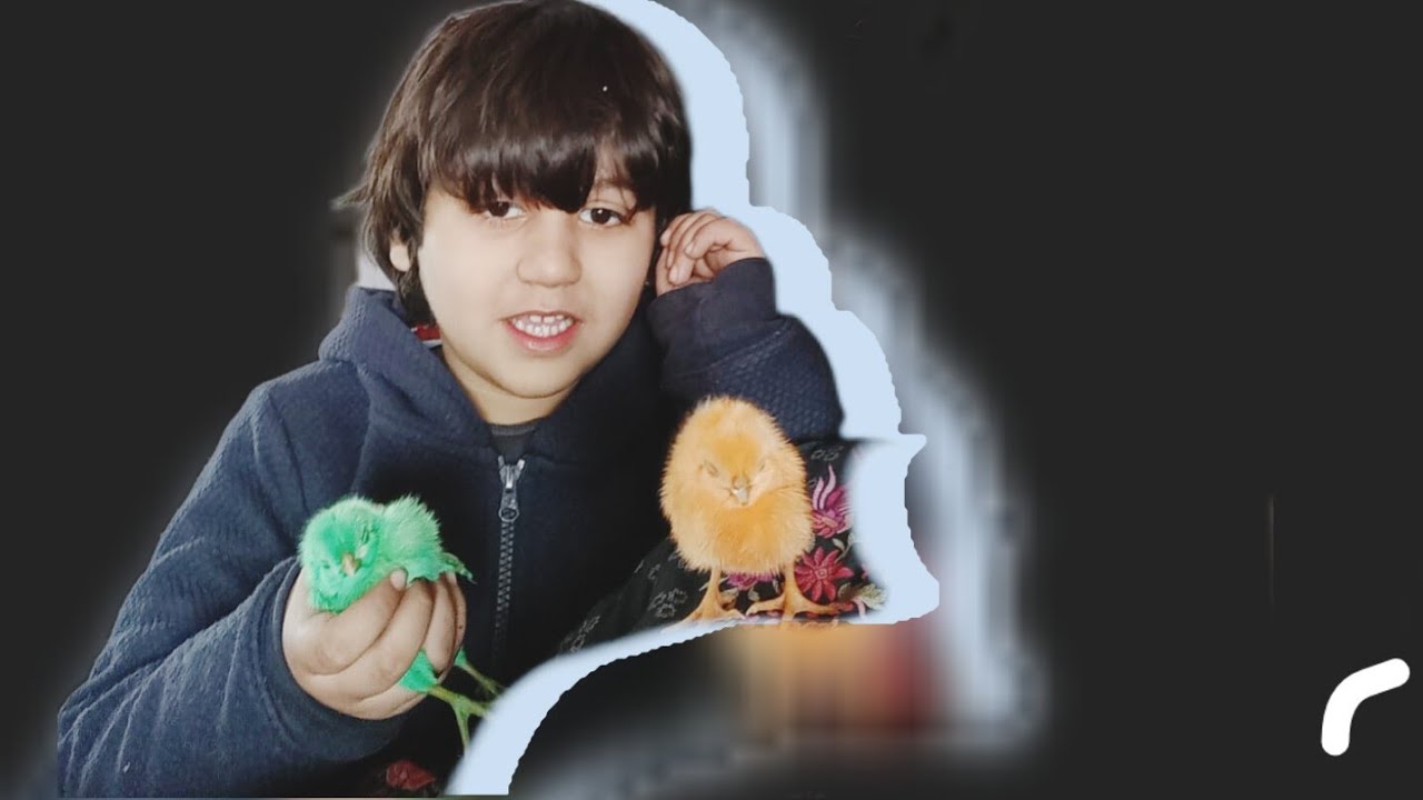 Zohan Ali n Chicks | Goodluck Chicks - YouTube