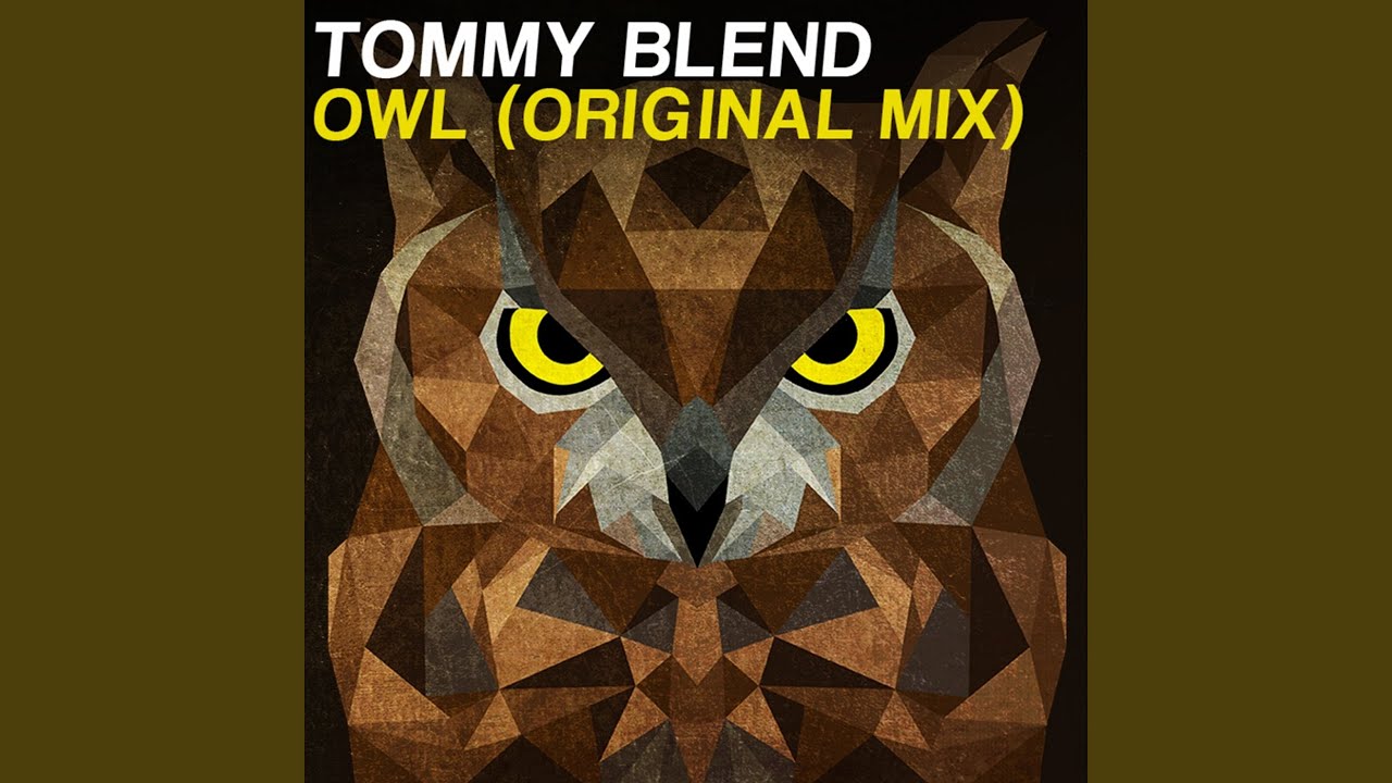 Owl (Original Mix) - YouTube