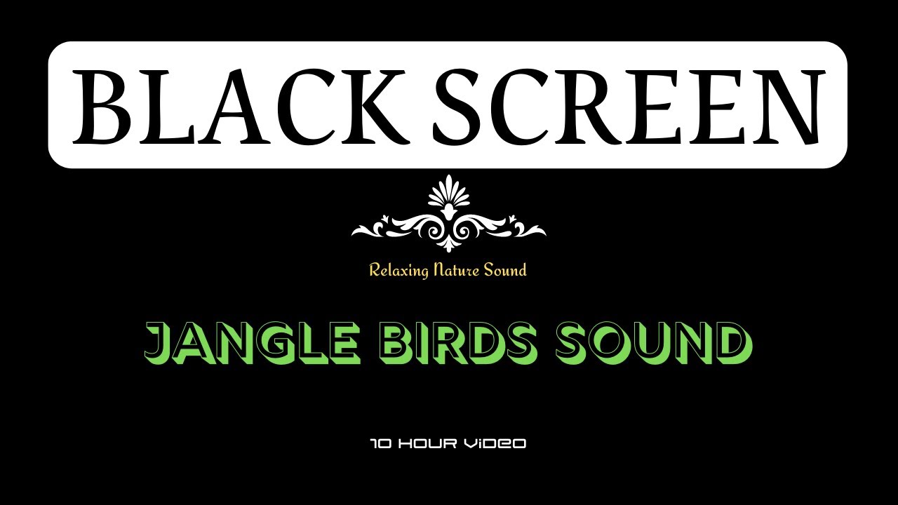 Black Screen Jangle Birds sound 10 hour video | Nature Sound For ...