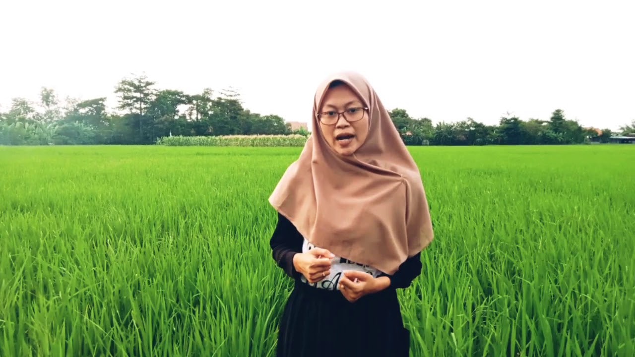 Biografi dan pemikiran Josef Van Ess Teologi Agama-agama - YouTube