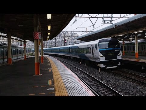 E257 NA-03 踊り子7号伊豆急下田行が大船に入線するシーン - YouTube