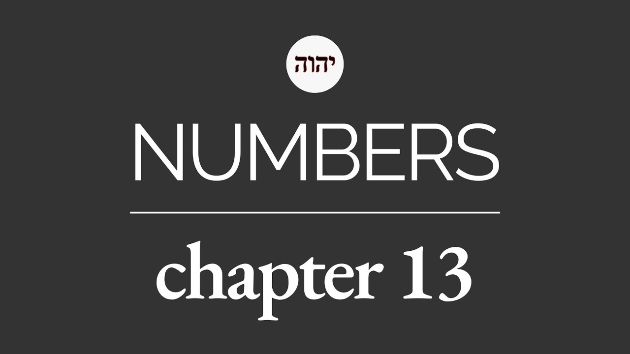 Numbers Chapter 13 Verse By Verse Bible Teaching - YouTube