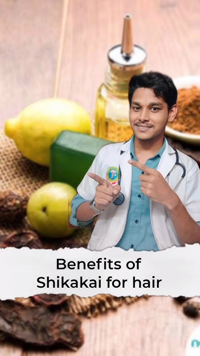 Shikakai benefits for hair | Best shampoo | சீயக்காய் நன்மைகள் #shampoo ...