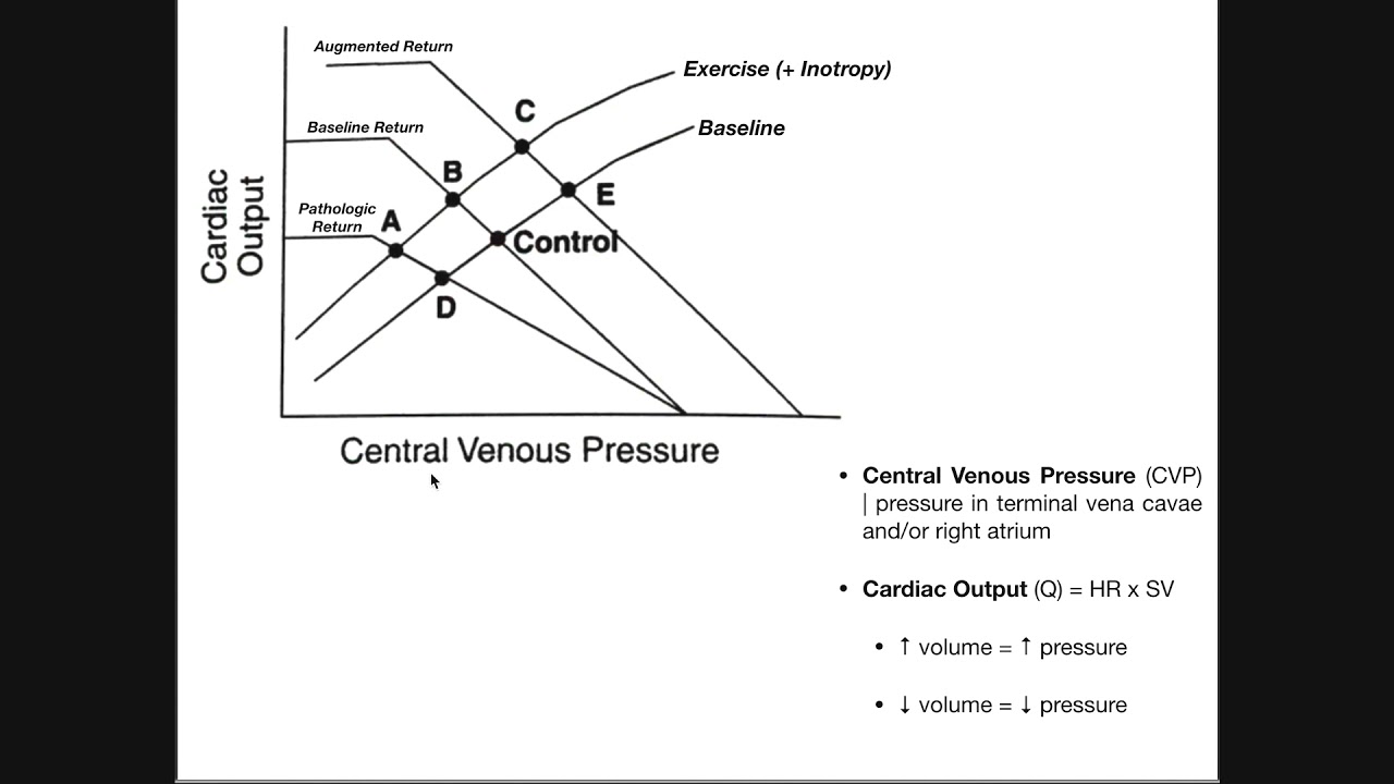 Cardiac & Vascular Function Curves EXPLAINED - YouTube