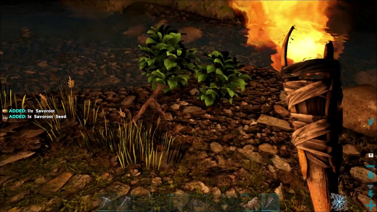 Savoroot in the Wild wow amaze - ARK Ragnarok - YouTube