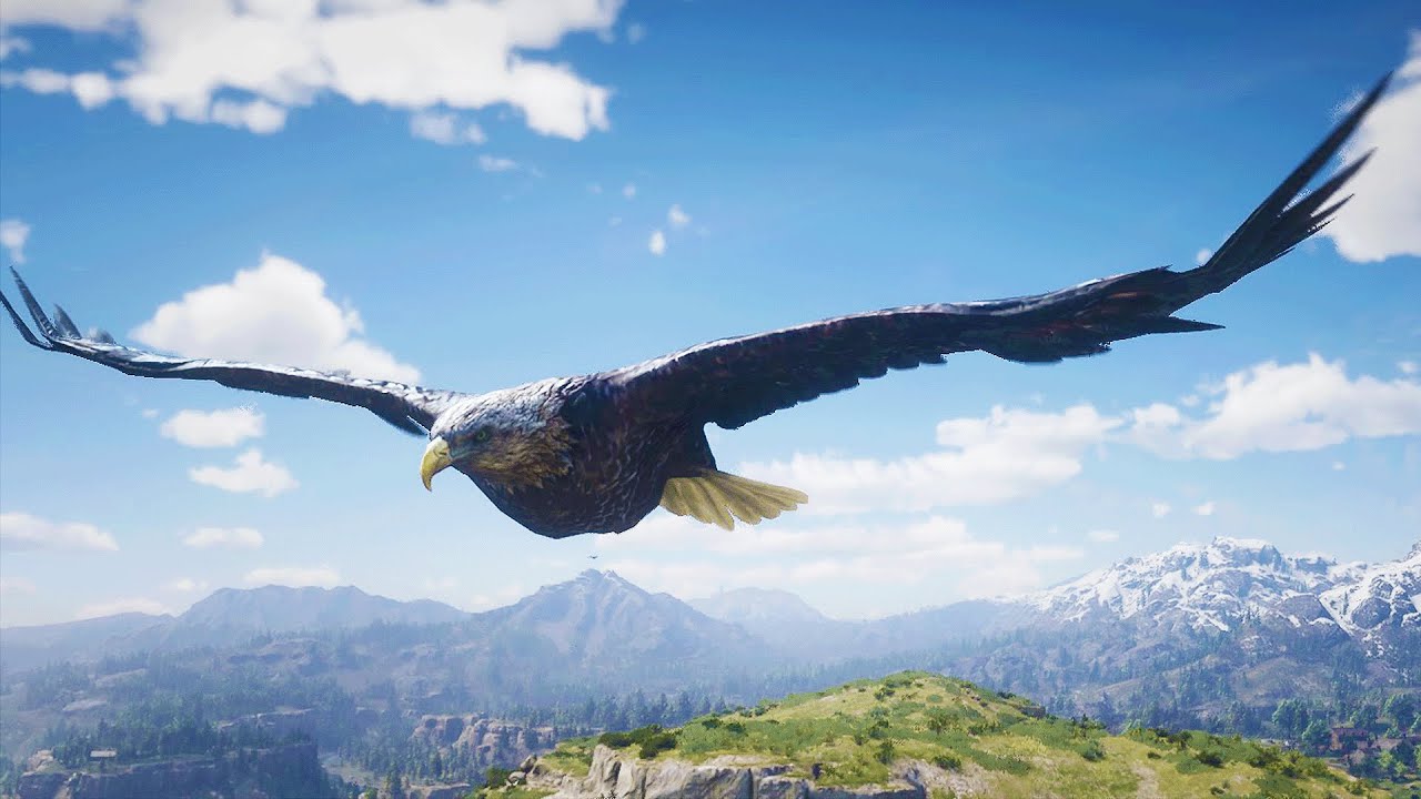 Trying to mate the eagle in red dead redemption 2 - YouTube