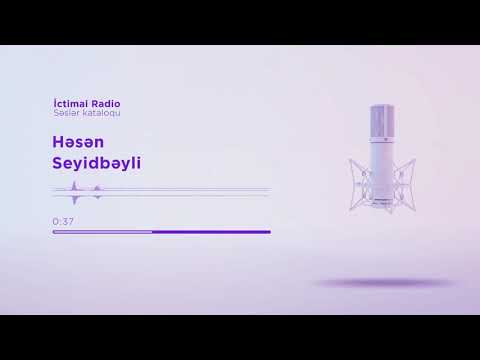 Həsən Seyidbəylinin səsi barədə