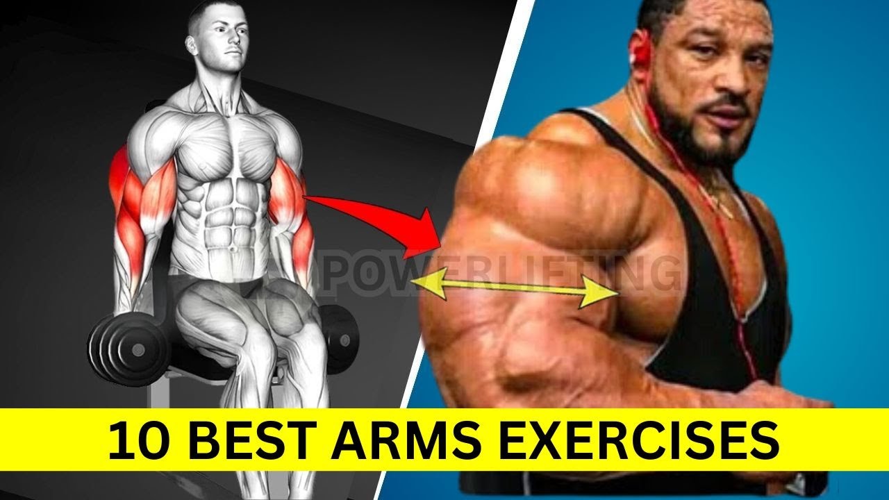 Get Bigger Arms - These are the 10 Best Exercises for Building Bigger ...