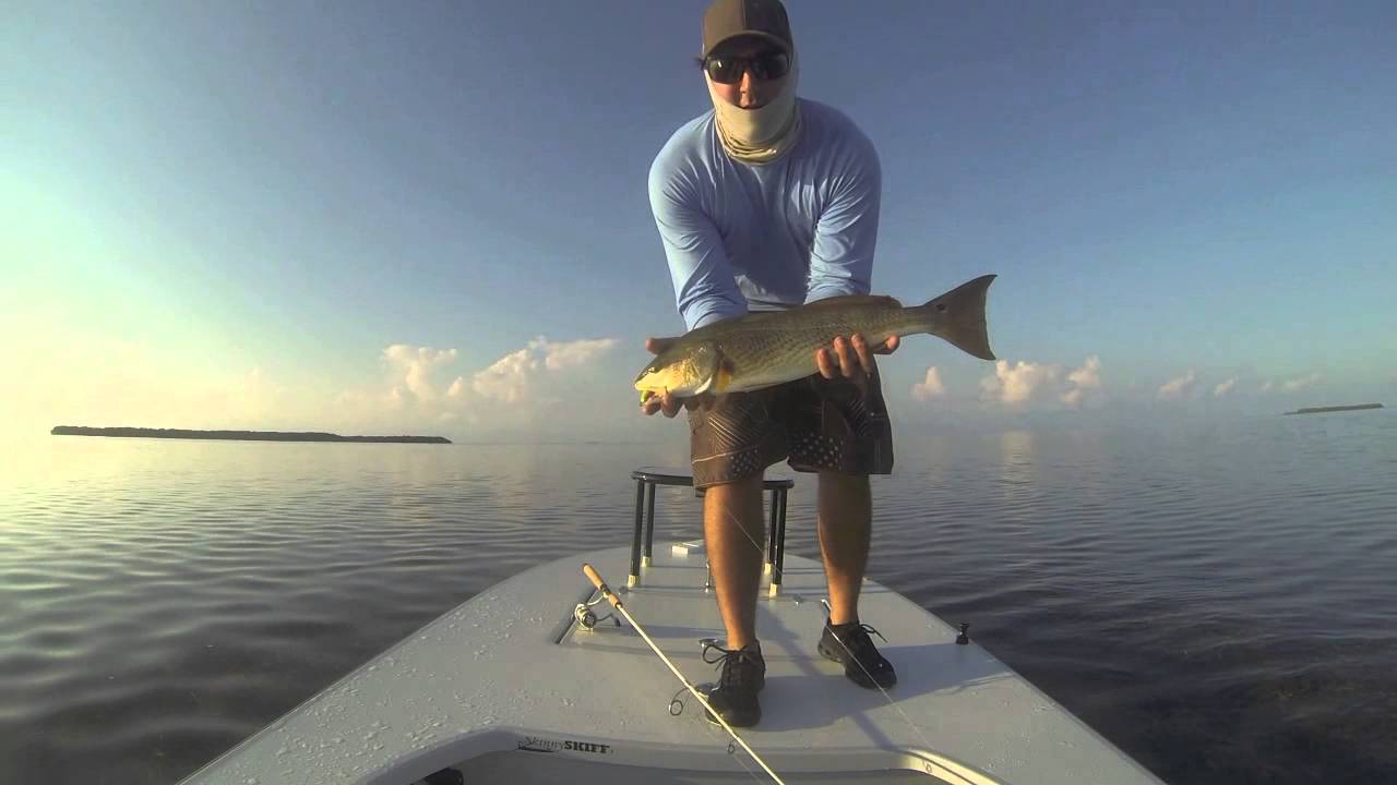 red fishing flamingo - YouTube