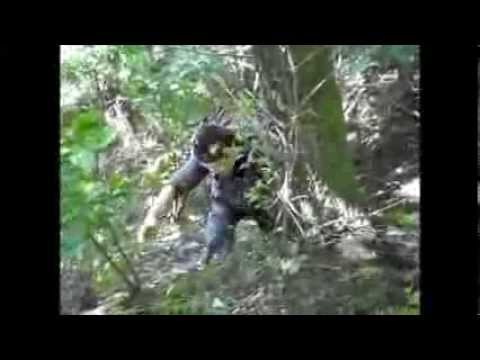 Bear Grylls Nachfolger - Sergeant Morize