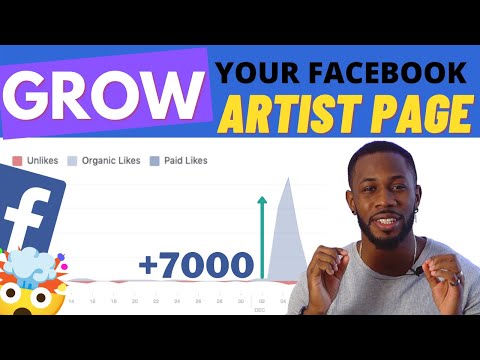 So steigern Sie die Anzahl Ihrer Facebook-Fanpage mithilfe von Anzeigen (Von null auf 7.000 Seite...
