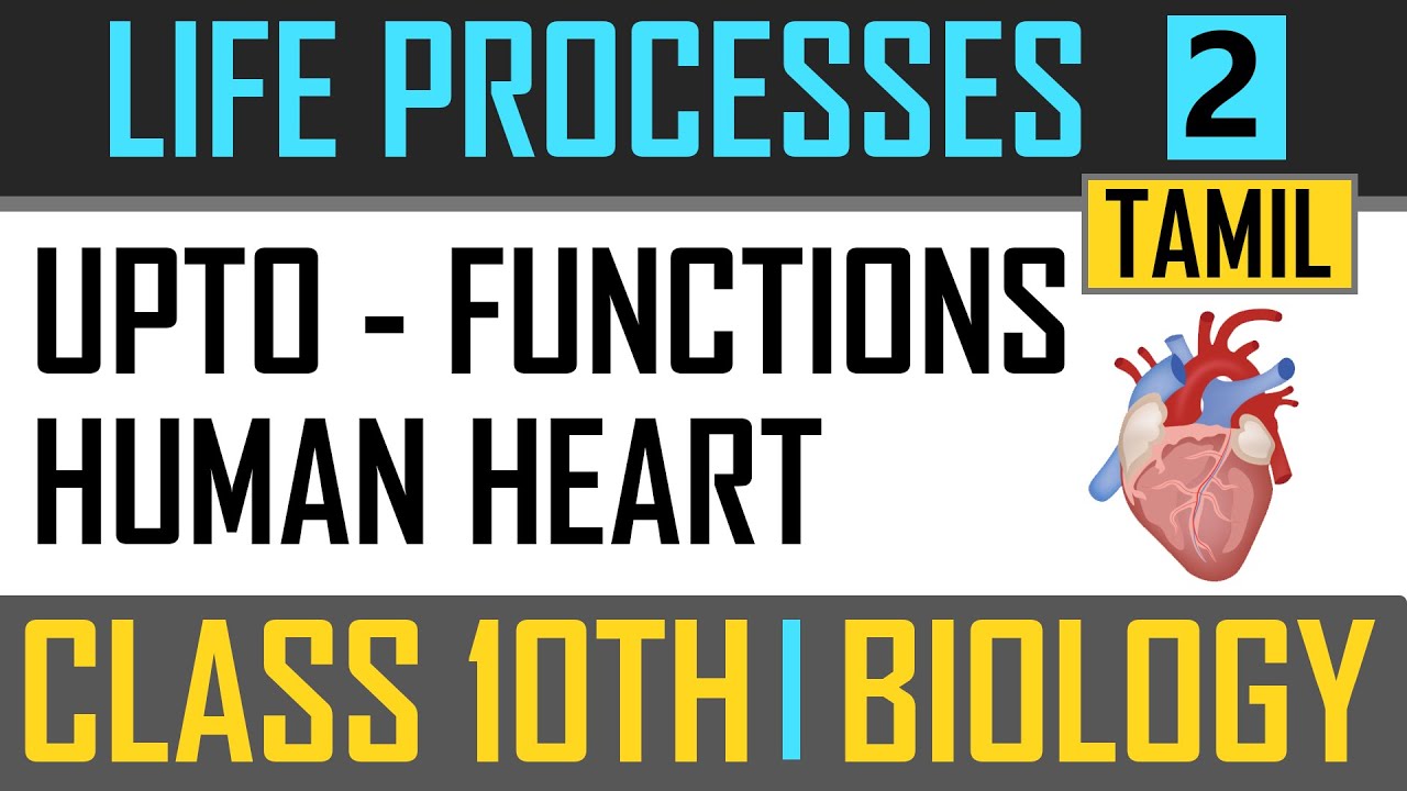X || BIOLOGY || LIFE PROCESSES - 2 || FASTRACK COURSE || SHARON MAM ...