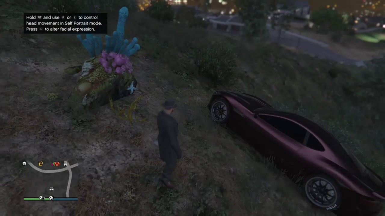 Grand Theft Auto V | Rock with Coral Found in Mountains!!! - YouTube