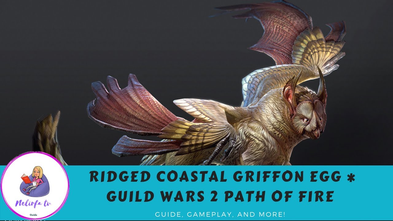Ridged Coastal Griffon Egg -- Guild Wars 2 Path of Fire - YouTube