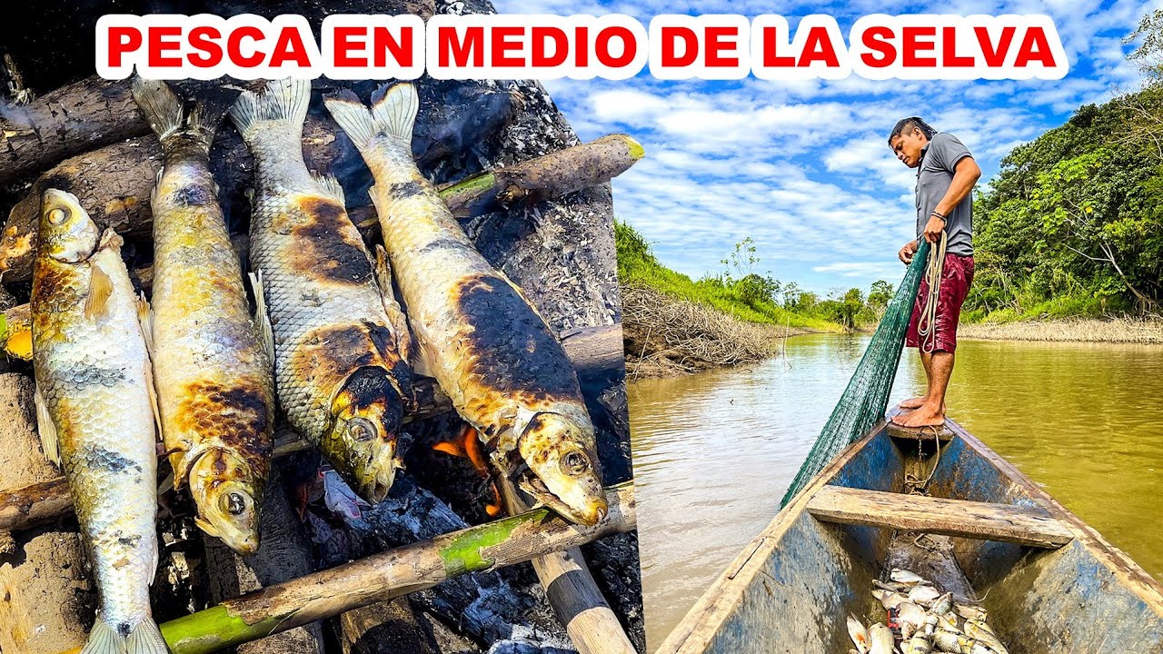 PESCA ARTESANAL en EL RÍO MÁS LARGO DEL PERÚ, Requena Loreto | Jordy ...