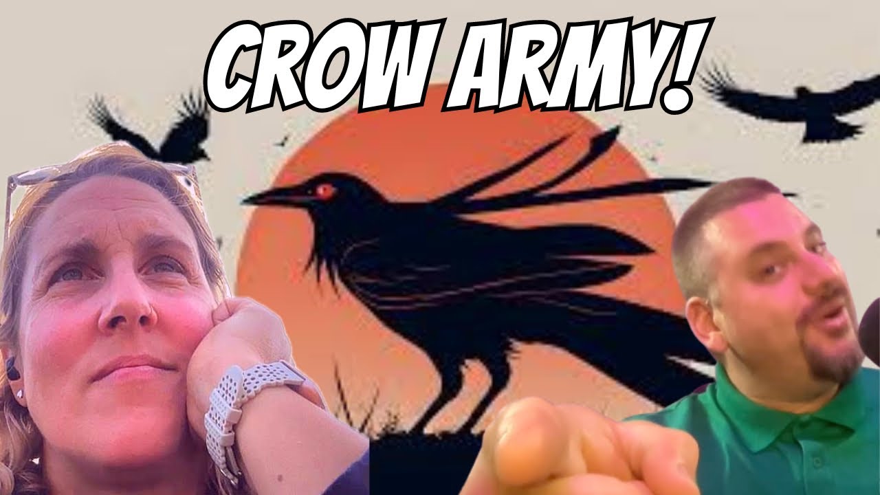 Is this corvid rehabilitator starting a crow army? 🐦‍⬛ - YouTube
