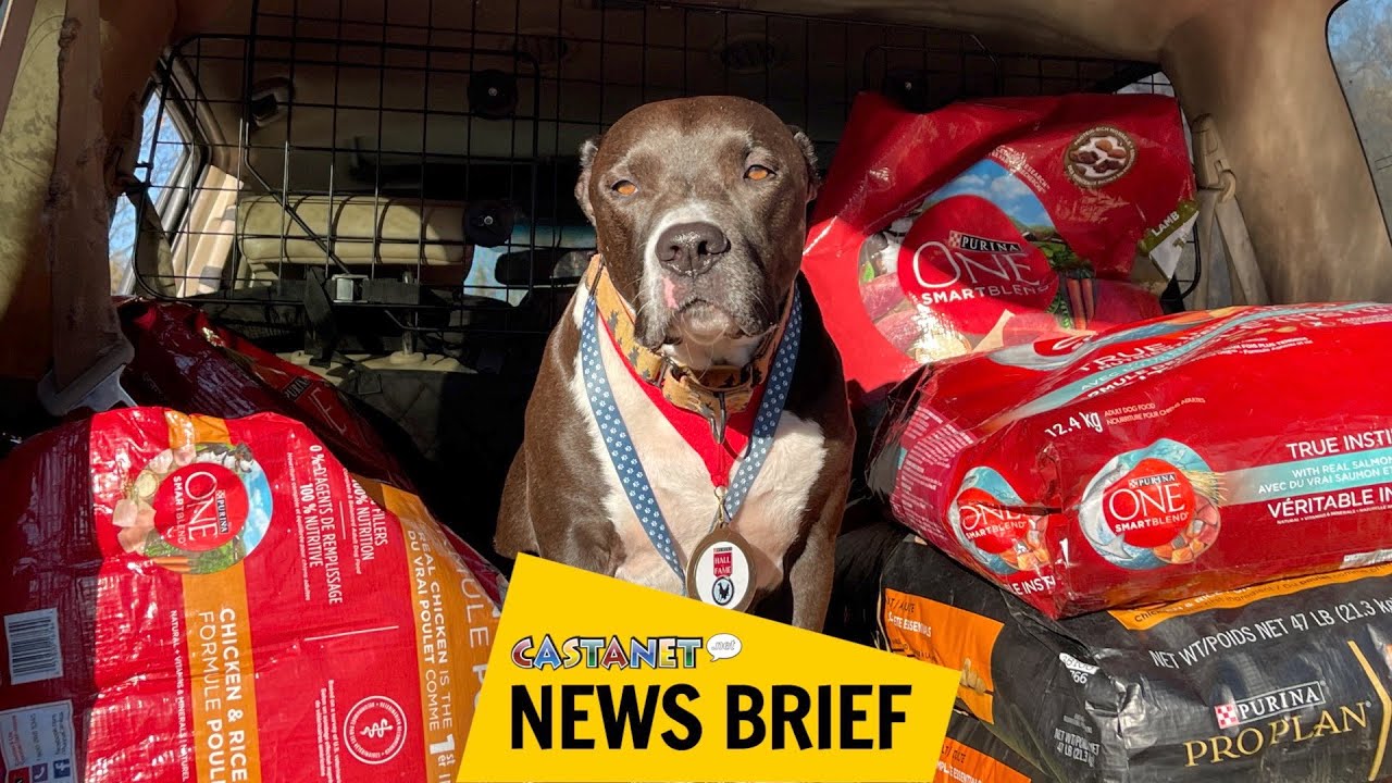 Hero dog Bane inducted into Hall of Fame - YouTube