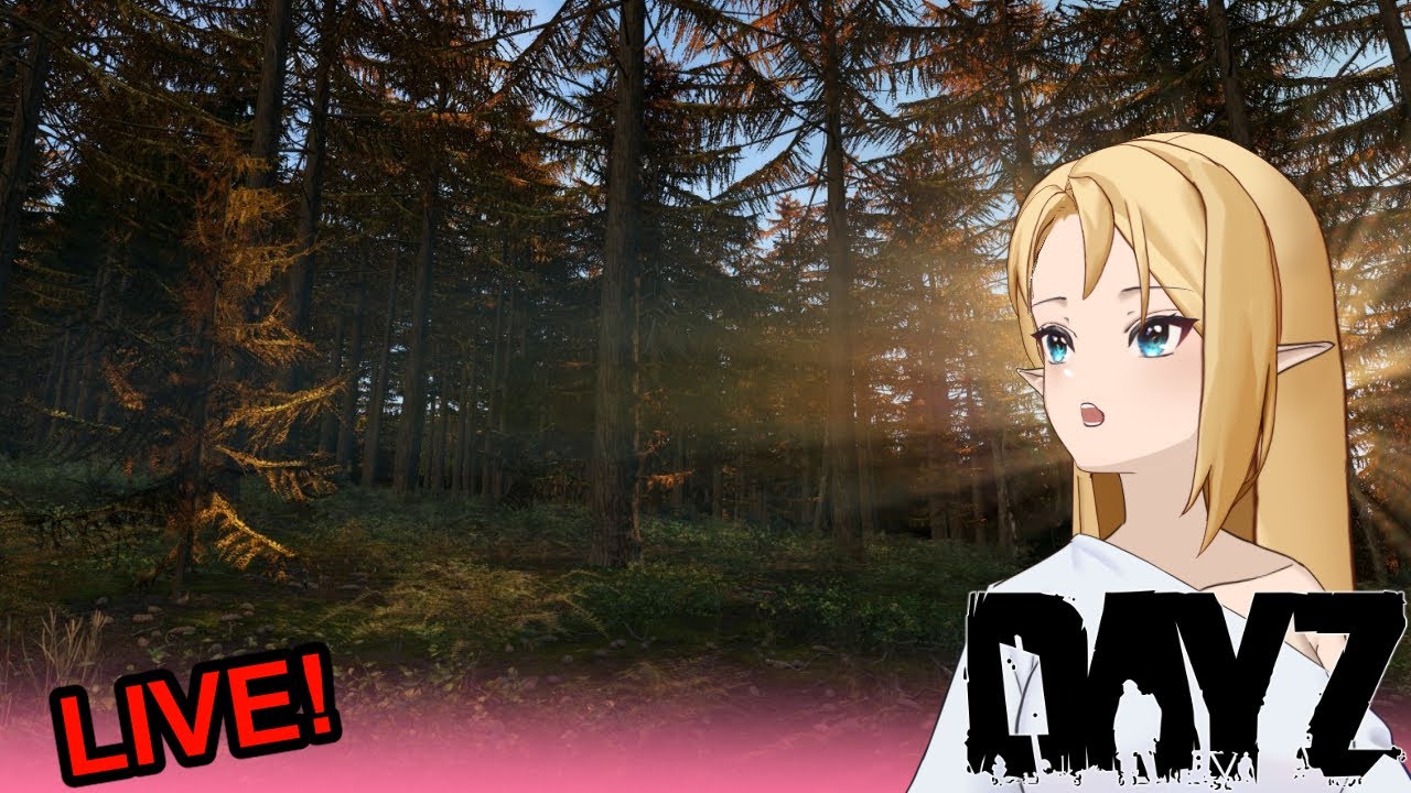 【DayZ】All I want for DayZmas is NVG's and a partridge in a pear tree ...