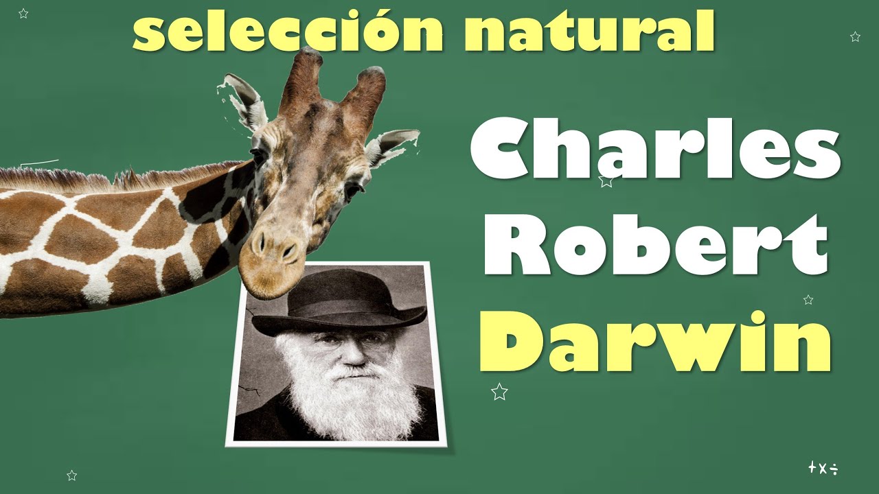 ⭐La teoría de la evolución de Darwin - selección natural 📘 aulamedia ...