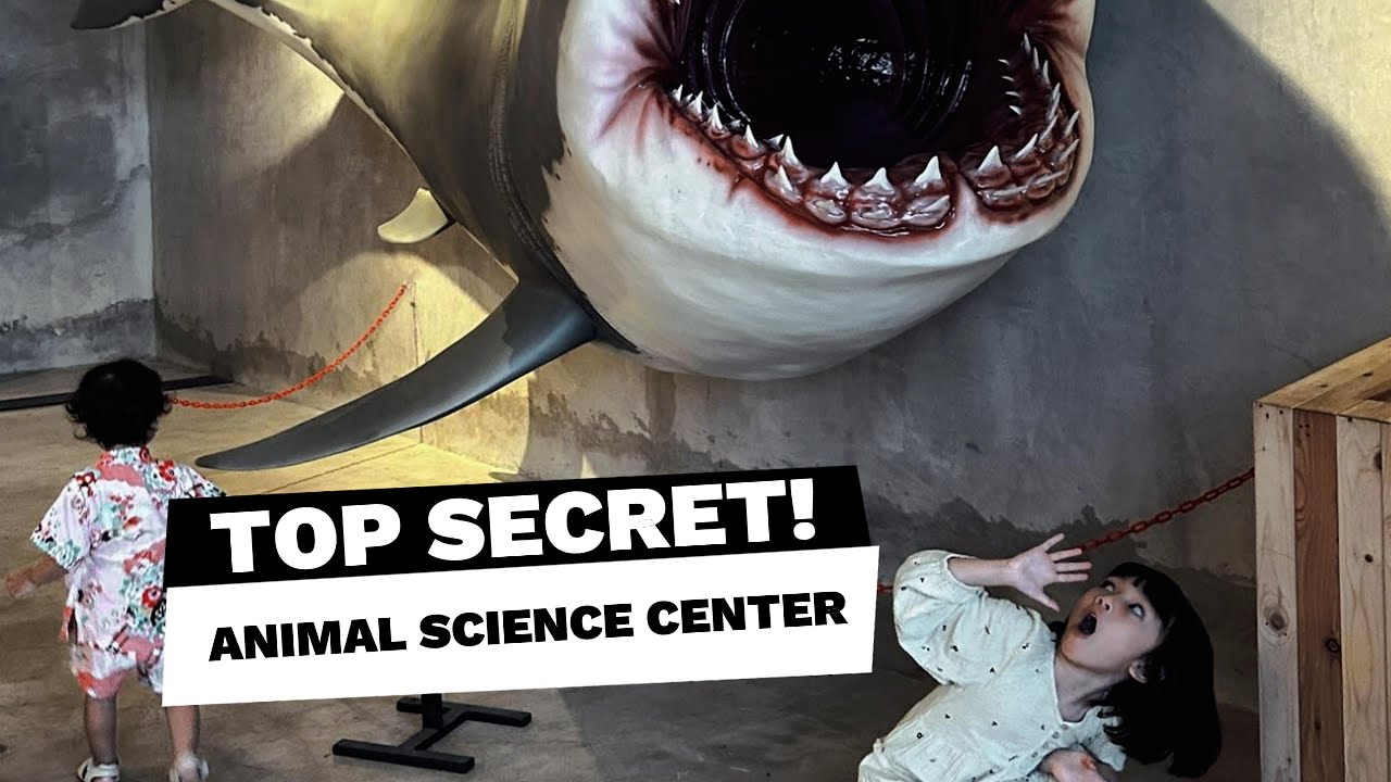 🦖🪐Animalium Experience: Inside Indonesia’s Top Animal Science Center ...