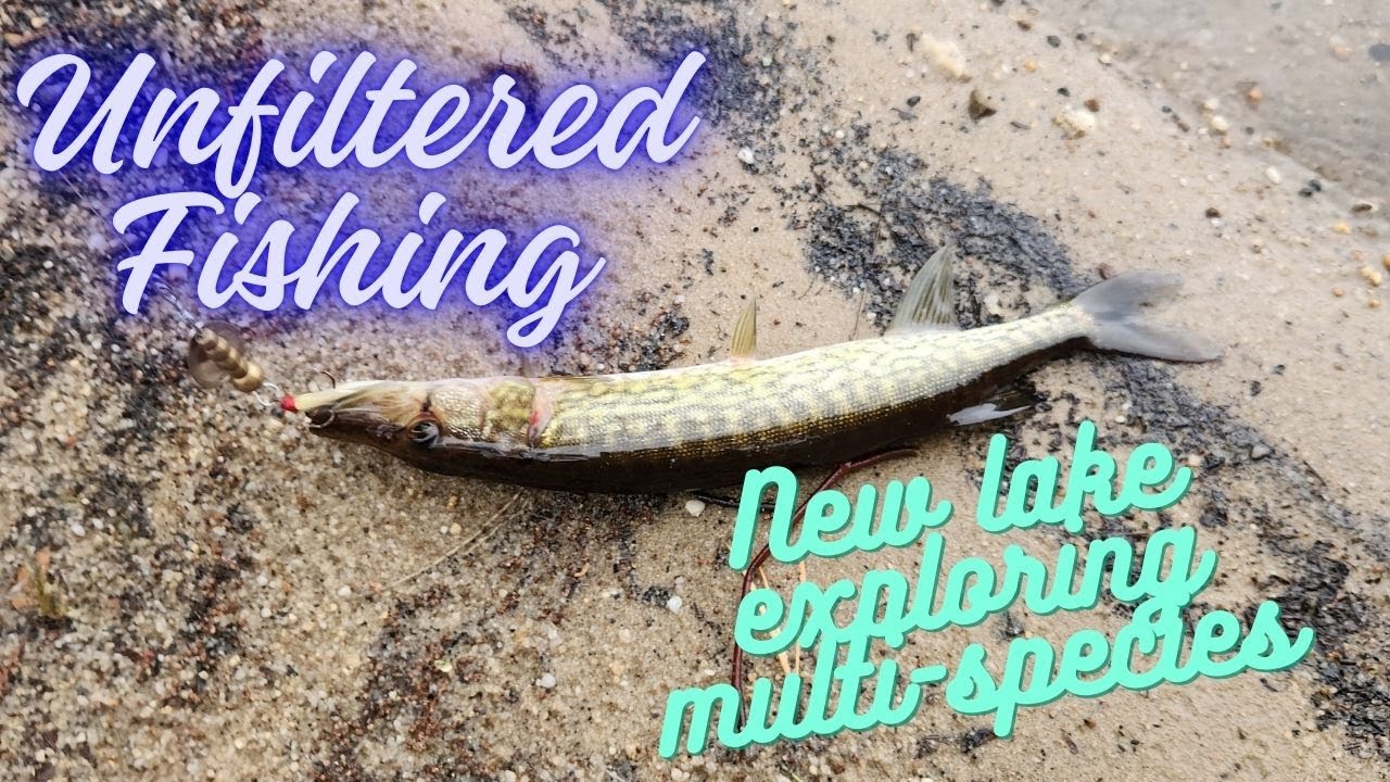 Exploring and Fishing Long Island Lakes for a Multi-Species Day. - YouTube