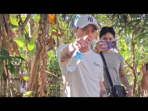 Danjoy pasok magpapaliwanag ako😅 ️may marites ako - YouTube