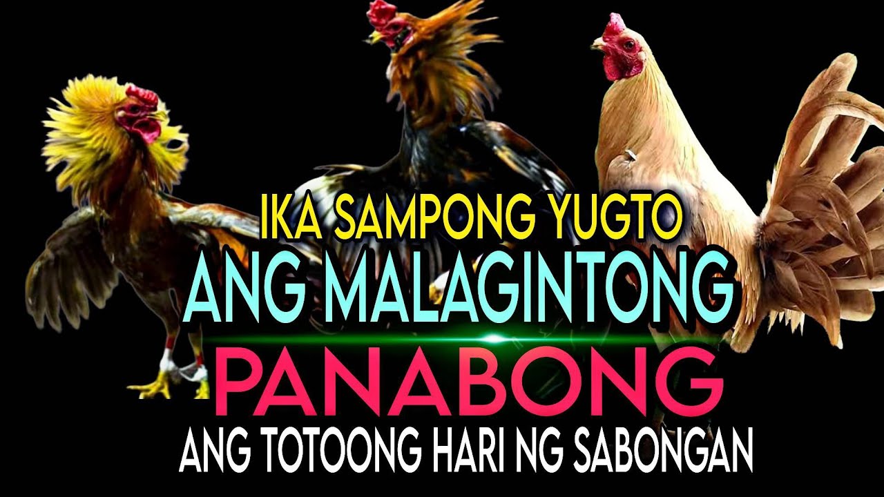 PART 10 I ANG MALAGINTONG PANABONG l l SABONG l MUTYA l MUNDO NG ...