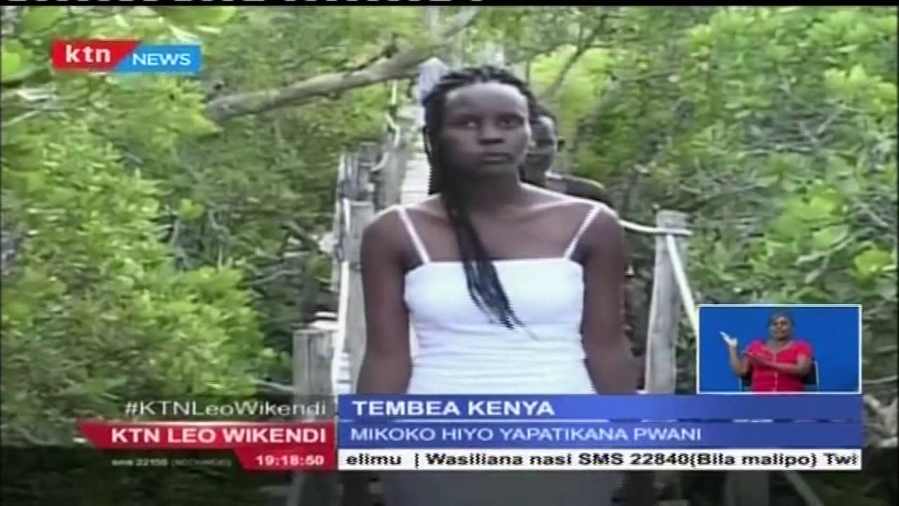 Tembea Kenya: Ndege ambao hutoka Bara Uropa kuja Kenya kutaga mayai ...