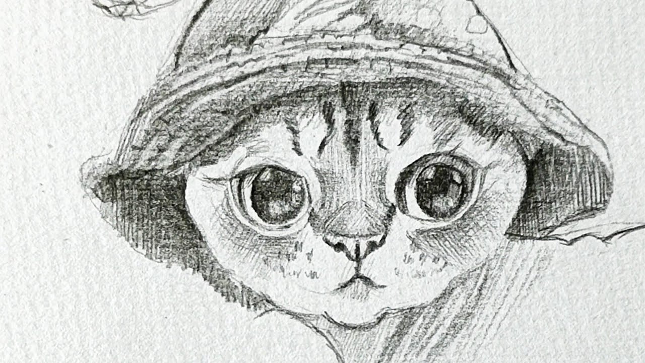 Drawing a cute Devon Rex kitten with a pencil. Рисование милого котенка ...