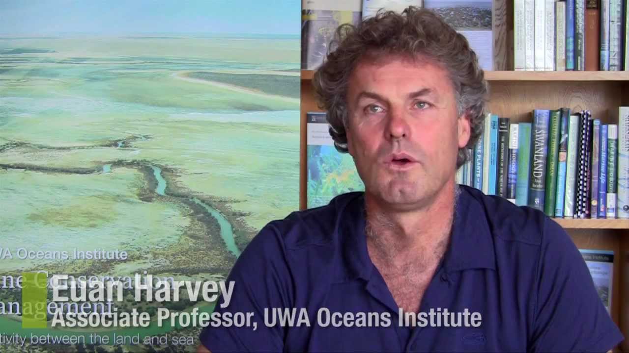 UWA Science majors: Marine Science - YouTube