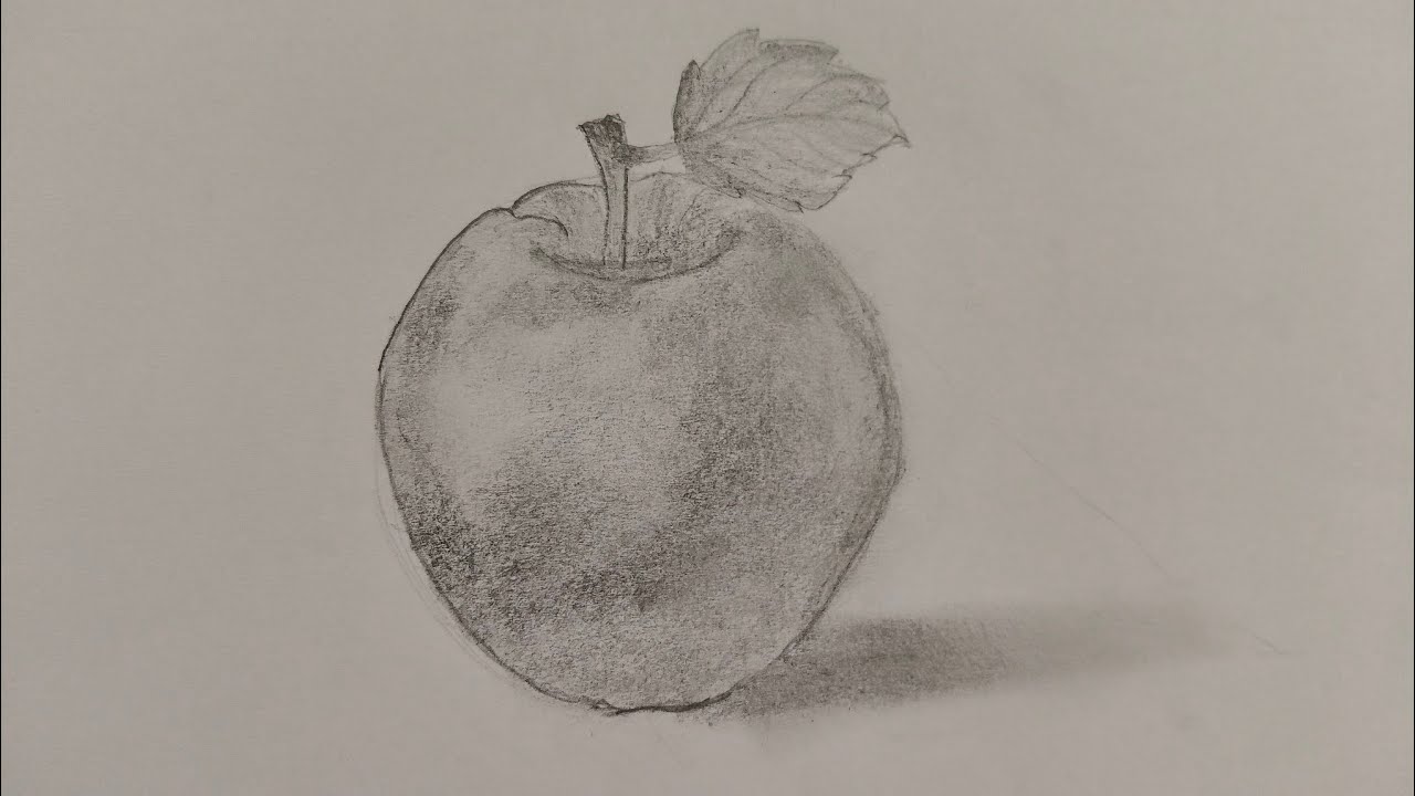 Natural Object Drawing Apple #apple #drawing #meshflow #sketching # ...