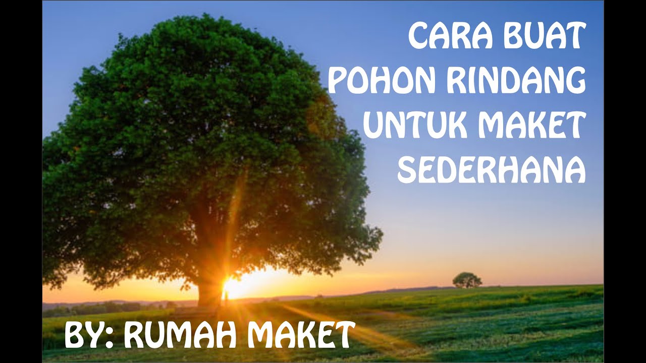 CARA BUAT POHON RINDANG UNTUK MAKET ARSITEKTUR - YouTube