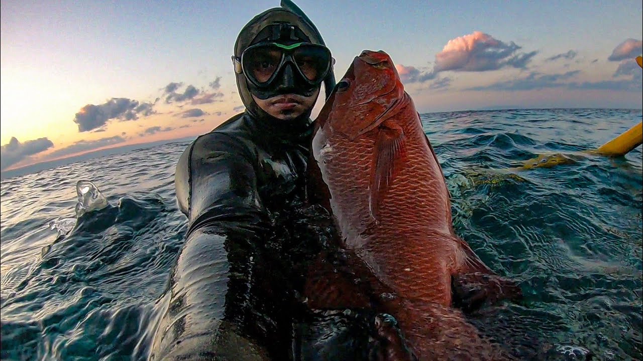 STONED RED SNAPPER! || SHALLOW RAINBOWS! || SPEARFISHING PHILIPPINES ...