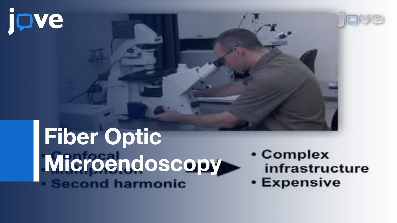 Fiber Optic Microendoscopy (High Resolution) For Cellular Imaging - YouTube