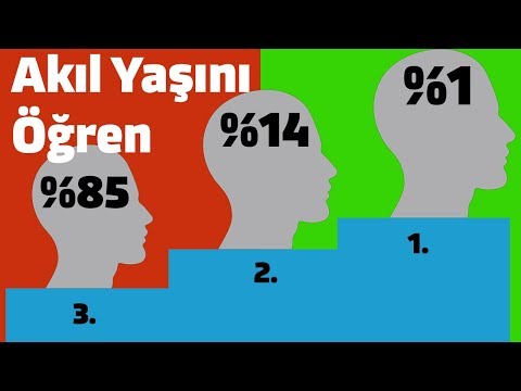 AKLINIZ NE KADAR ÇALIŞIYOR? - 9 Soru ile Akıl Yaşınız Kaç?