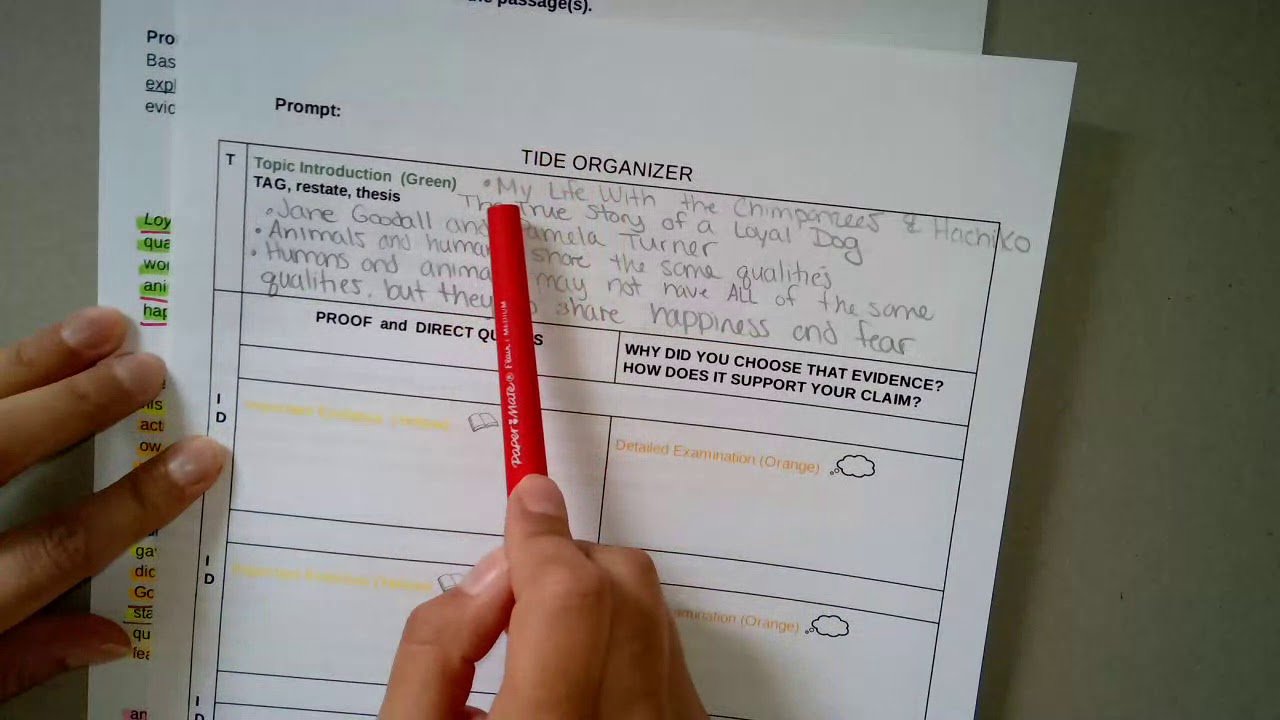 Completing the TIDE organizer - YouTube