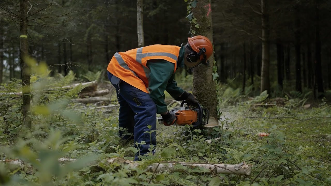 Forestry & Countryside Management - YouTube