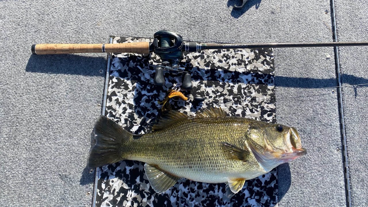 Flipping grass mats in Arizona lakes - YouTube