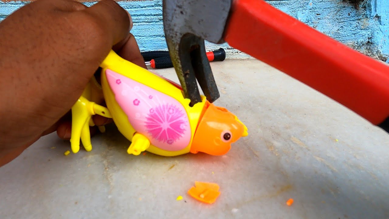 BIRD TOY UNBOXING🔥🔥🔥 - YouTube