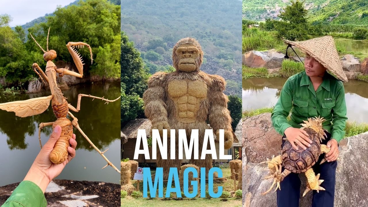 Animal magic - YouTube