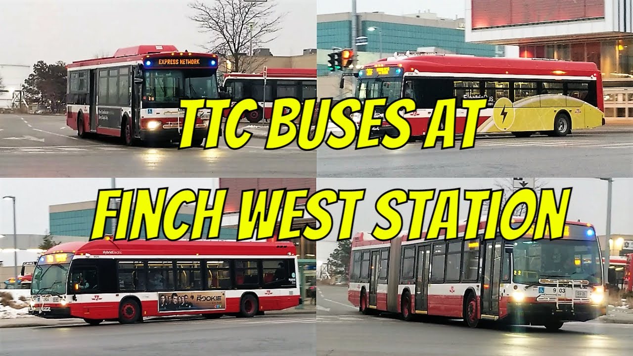TTC Buses at Finch West Station Compilation (January 2021) - YouTube