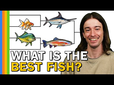 Fish Bracket (with Hunter Viers)