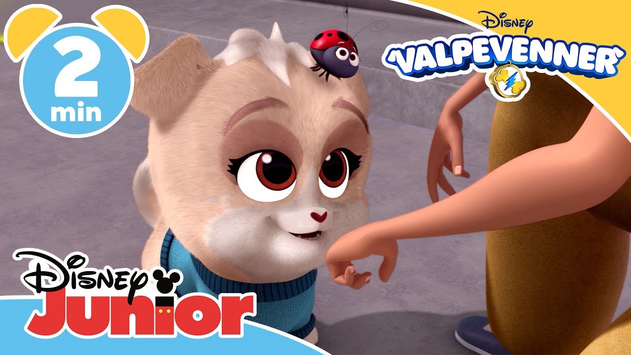 Valpevenner | Finn Keia! 🐶- Disney Junior Norge - YouTube