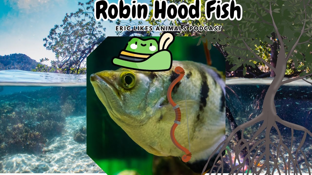 Robin Hood Fish - YouTube