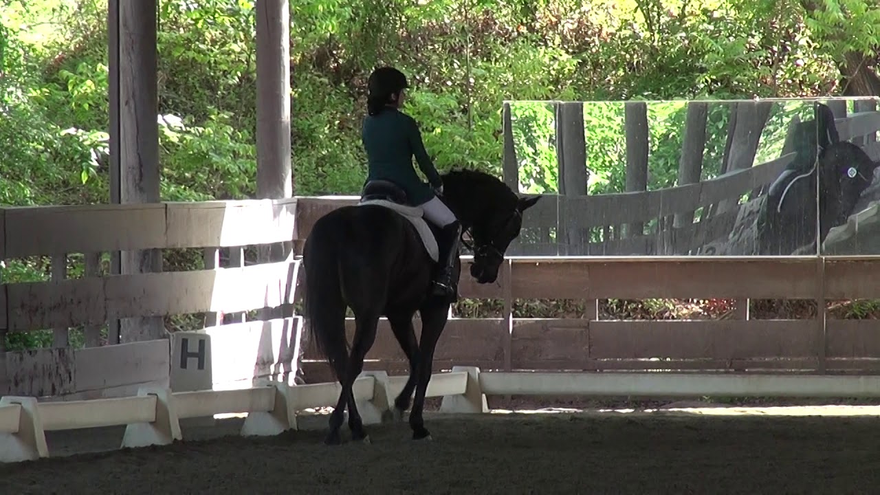 Apfelkorn & Hope Chacon - 4th Level Test 1 - ICC Spring Rated Show 2019 ...