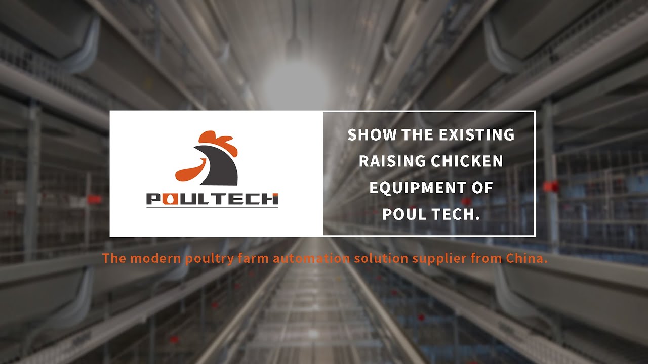 Show the existing raising chicken equipment of POUL TECH™. - YouTube